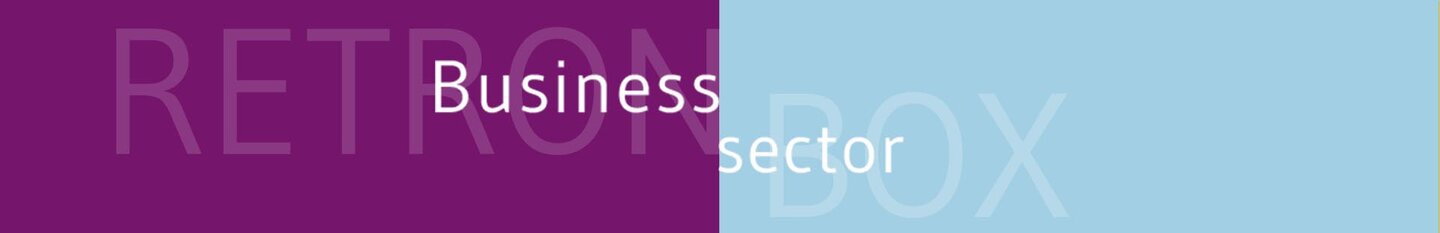 Battery protection box | RETRON Box // RETRON