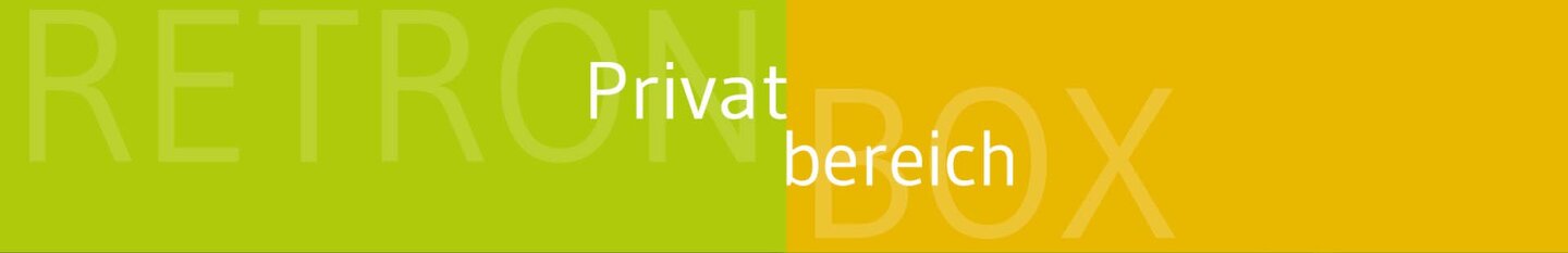 Akku Schutzbox | RETRON Box // RETRON